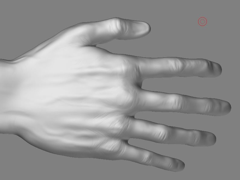 Resym problems :(( please help - ZBrushCentral