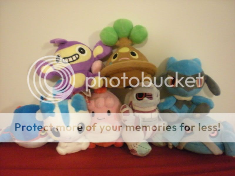 Pokedoll collection update!: pkmncollectors — LiveJournal