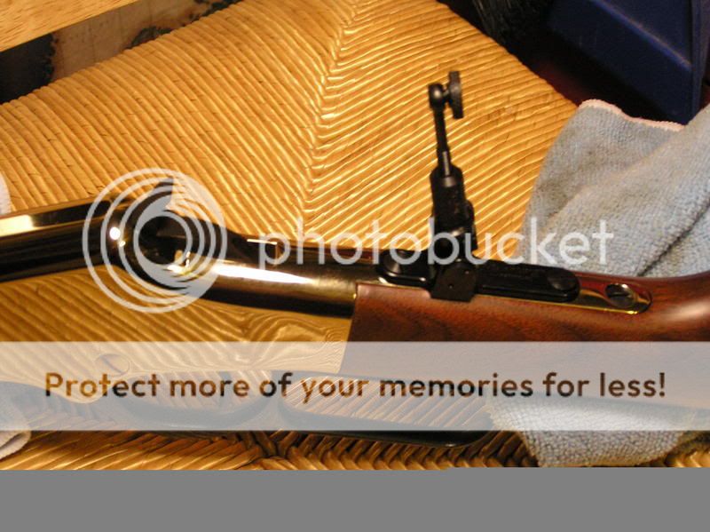 Taurus tang sight on .22lr golden boy | Rimfire Central Firearm Forum