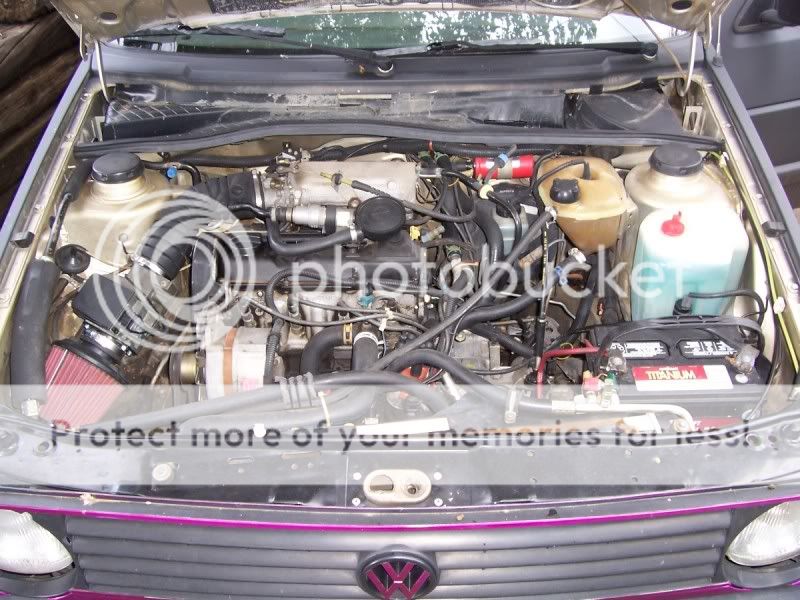 88 Golf GL | VW Vortex - Volkswagen Forum