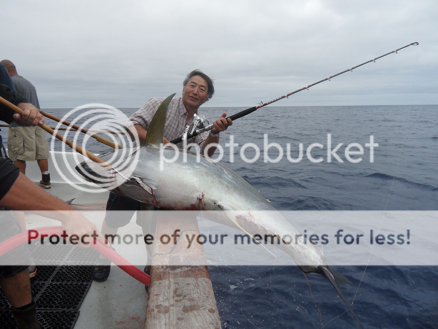 Jigging master Reels? | Bloodydecks