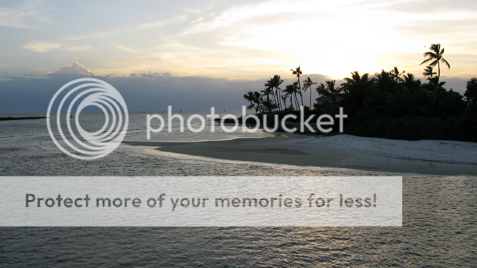 largemouth/goliath grouper/peacock bass in FL | BASS BARN