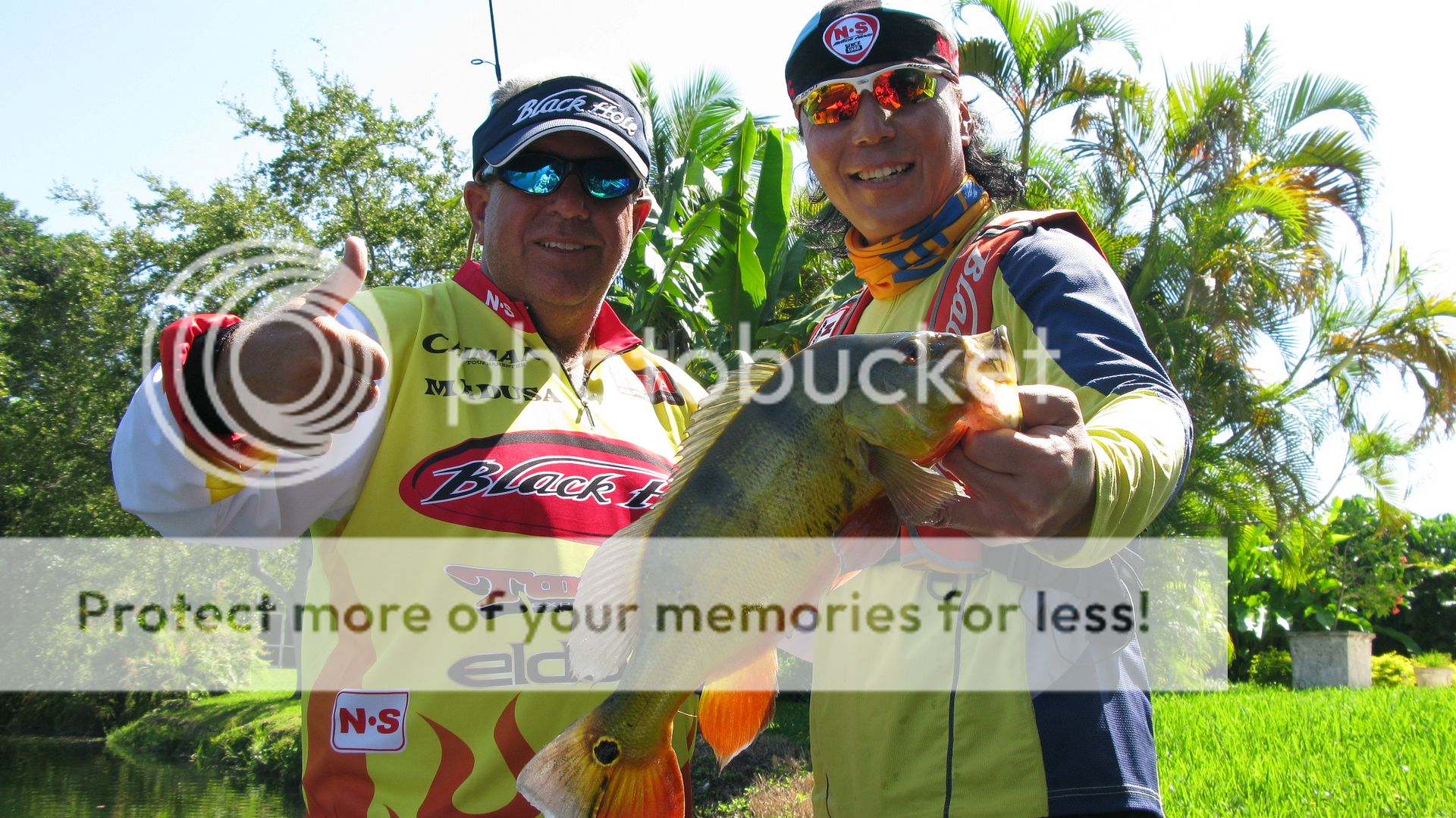 largemouth/goliath grouper/peacock bass in FL | BASS BARN