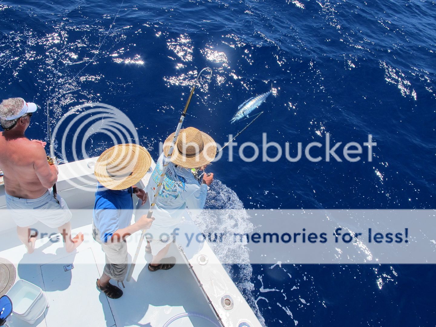 Bermuda fishing on July 28 an 29 | 360 Tuna Fishers Forum