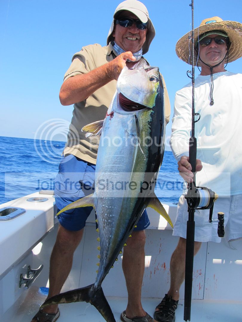 Bermuda fishing on July 28 and 29, 2012 | Bloodydecks