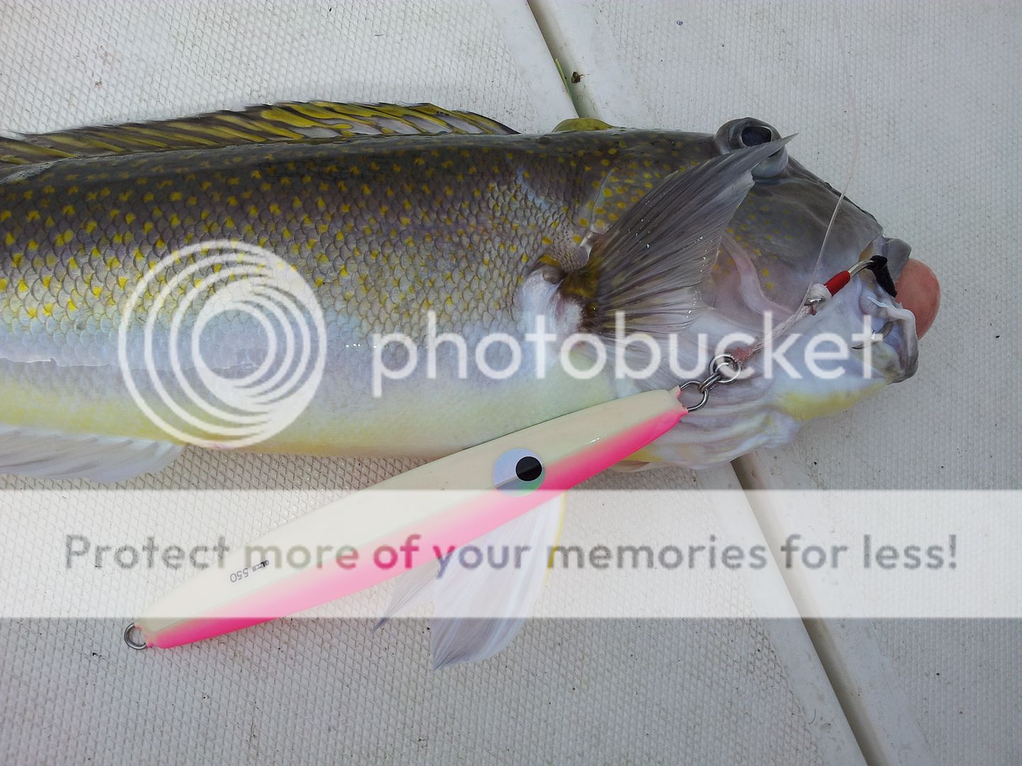 Deep Drop Jigs | BASS BARN