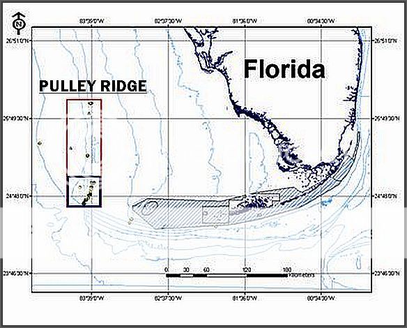 Pulley Ridge deep drop trip out of Key West - Saltwater Fishing ...