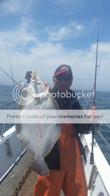 Black Hole USA/JIG N POP at Somerset Show | BASS BARN