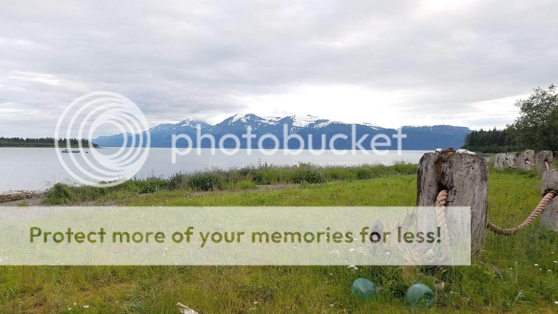 Slow Pitch jigging rods for halibut/ling cod | Bloodydecks