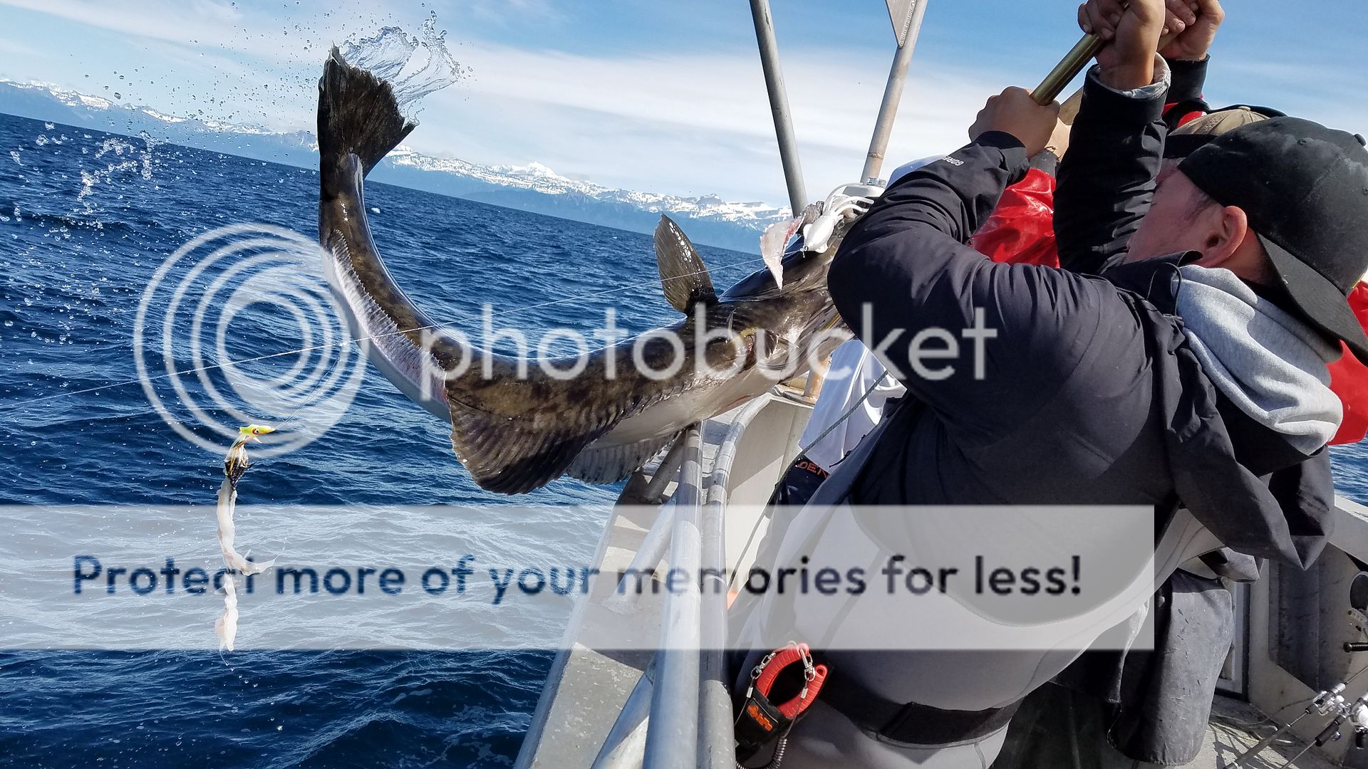 Slow Pitch jigging rods for halibut/ling cod | Bloodydecks