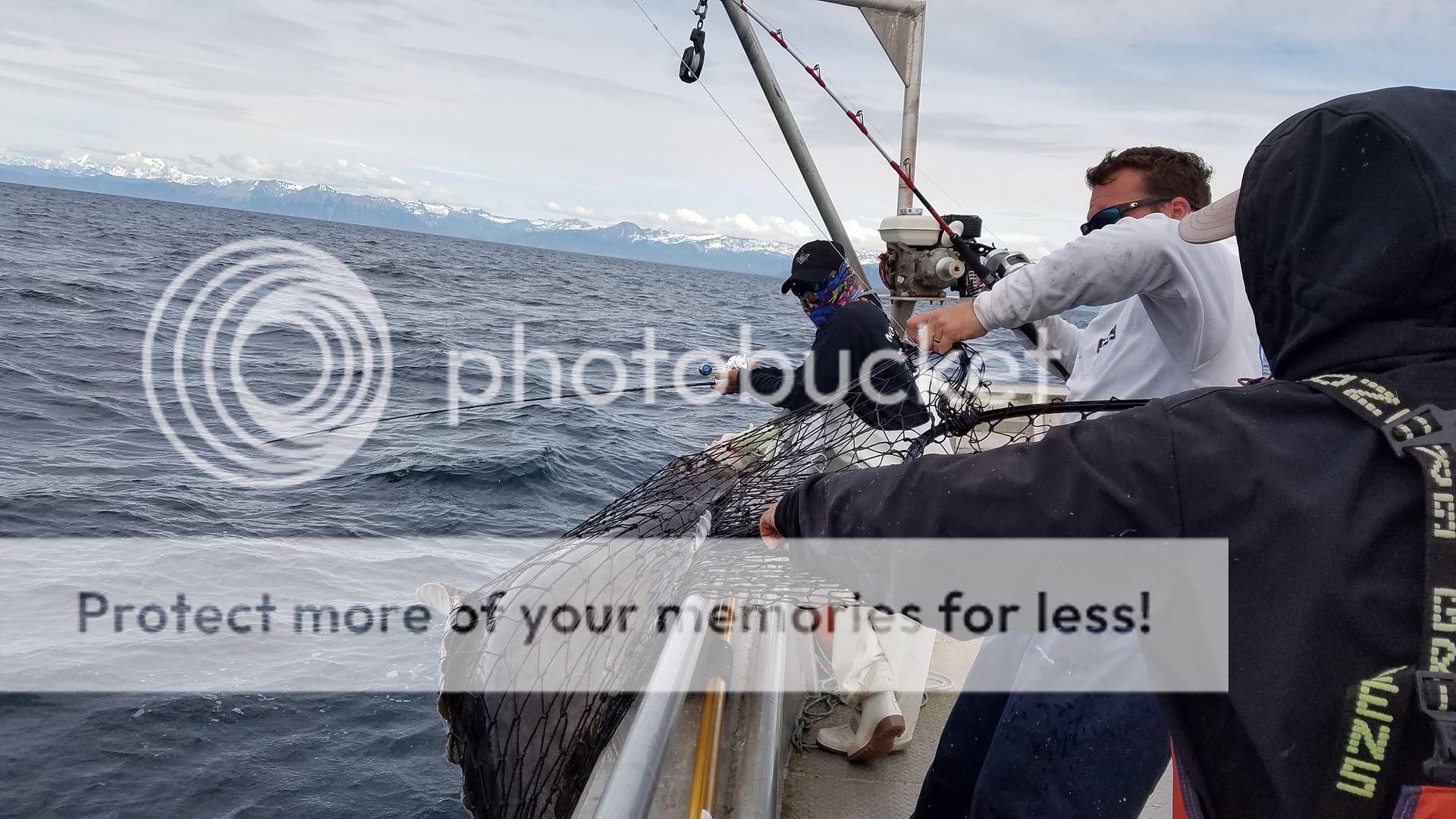 Slow Pitch jigging rods for halibut/ling cod | Bloodydecks