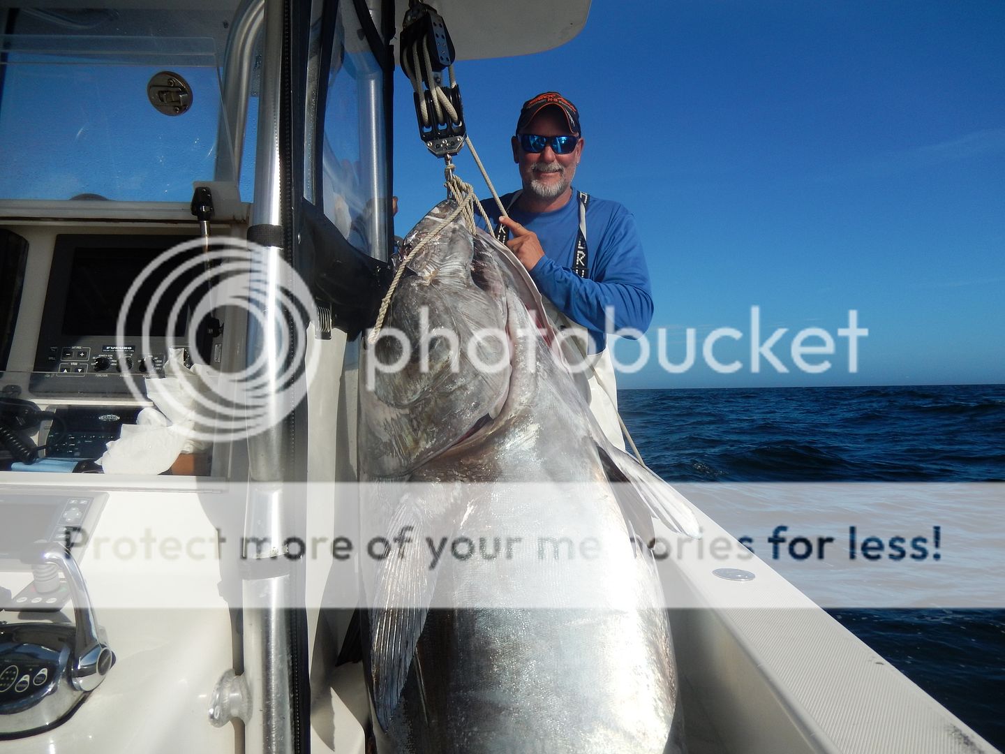 Action of Black Hole Giant rod for giant | NorEast Fishing Forum