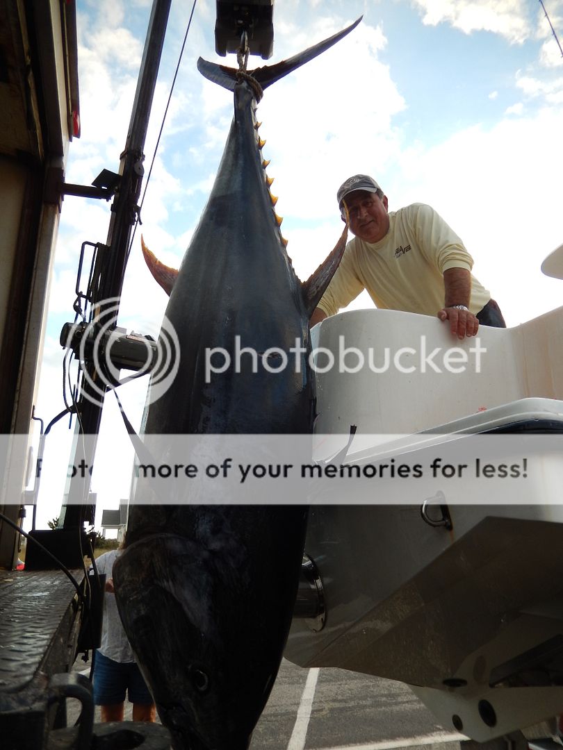 Action of Black Hole Giant rod for giant | NorEast Fishing Forum