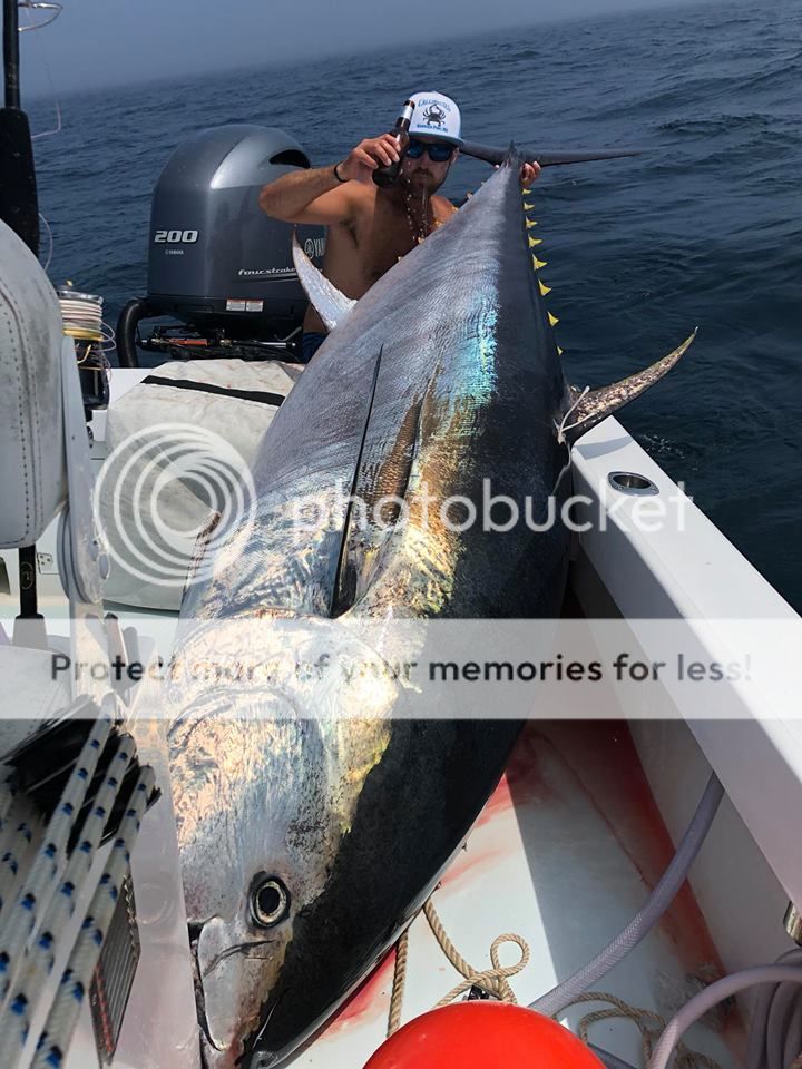 770 lb giant using custom Black Hole Giant rod | 360 Tuna Fishers Forum