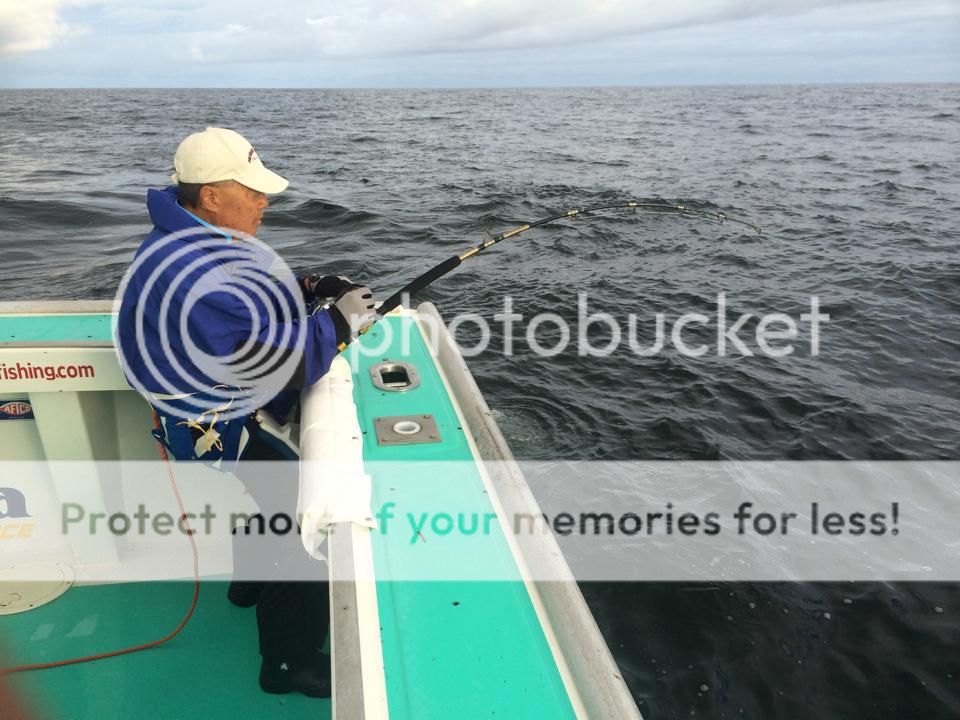 Action of Black Hole Giant rod for giant | NorEast Fishing Forum