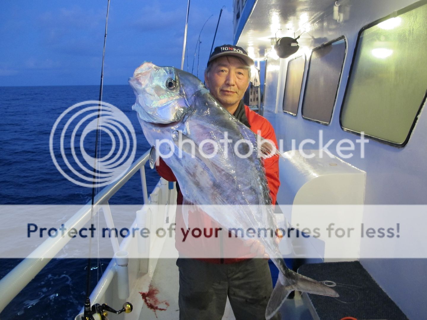 Black Hole Cape Cod Tai Special rods are coming. | BASS BARN