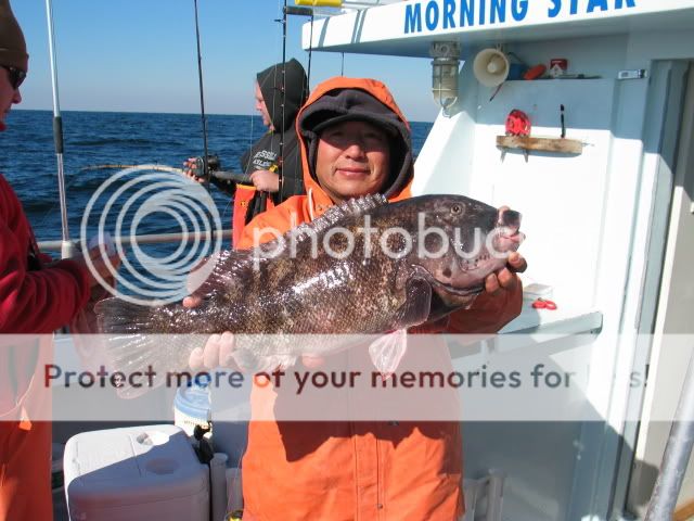 NJ Blackfish | 360 Tuna Fishers Forum