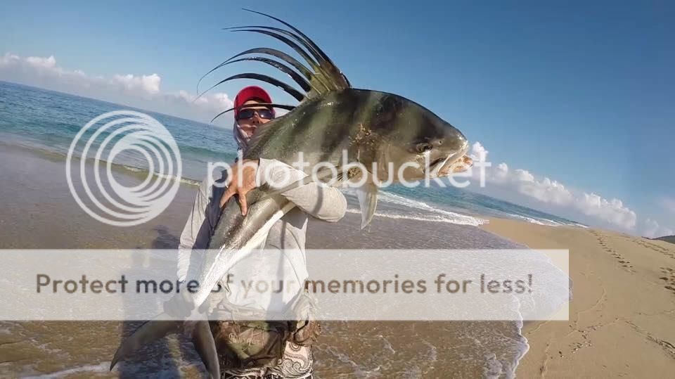 Rooster Fish Hunt | 2 Cool Fishing Forum