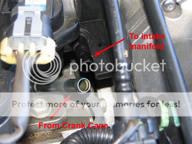 Stock LS2 PCV routing