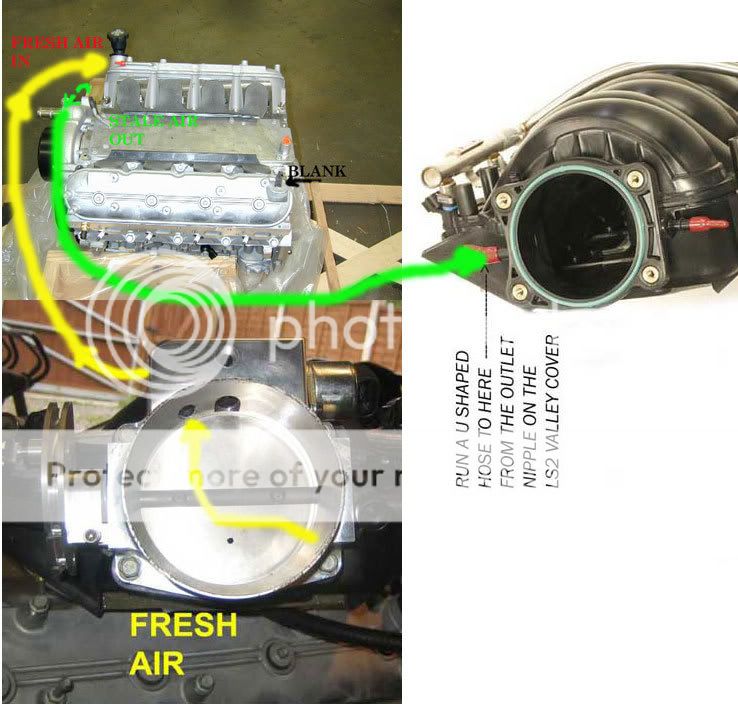 Stock LS2 PCV routing