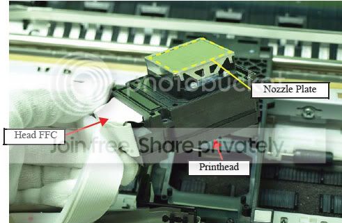 air bubbles in the "feed tube" of epson 710 | PrinterKnowledge - Laser ...