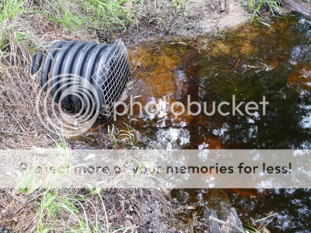 Farm Pond Overflow Spillway