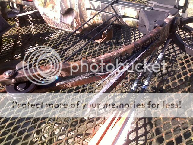 Parker BuckBuster - Act 2 | Archery Talk Forum