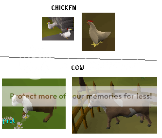 Cows, Chickens, Rabbits And The Fishing Trawler - RuneScape Updates ...