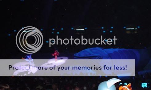 Finding Nemo on Ice | Fish Forum