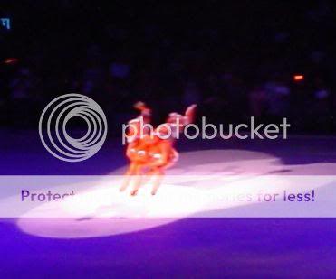 Finding Nemo on Ice | Fish Forum