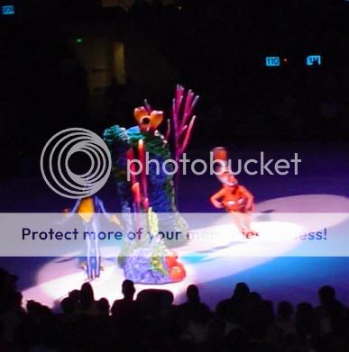 Finding Nemo on Ice | Fish Forum