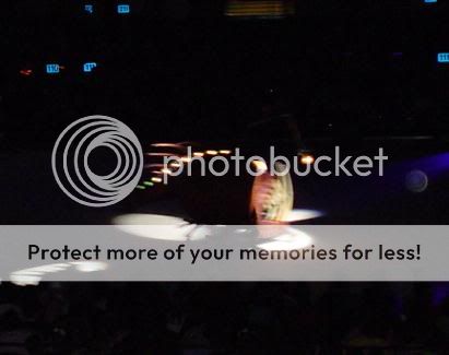 Finding Nemo on Ice | Fish Forum