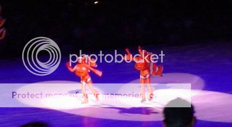 Finding Nemo on Ice | Fish Forum