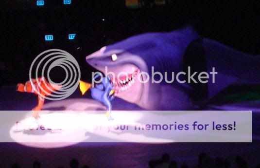 Finding Nemo on Ice | Fish Forum