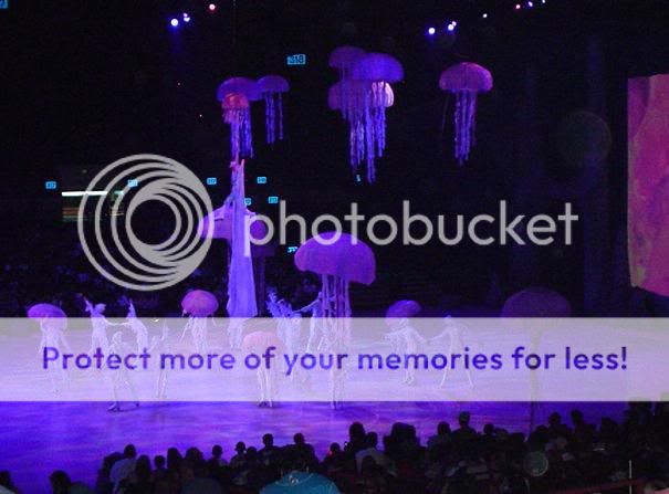 Finding Nemo on Ice | Fish Forum