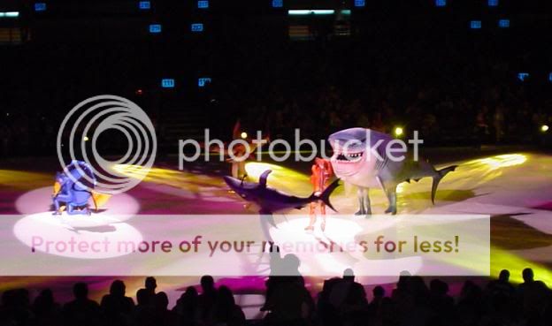 Finding Nemo on Ice | Fish Forum