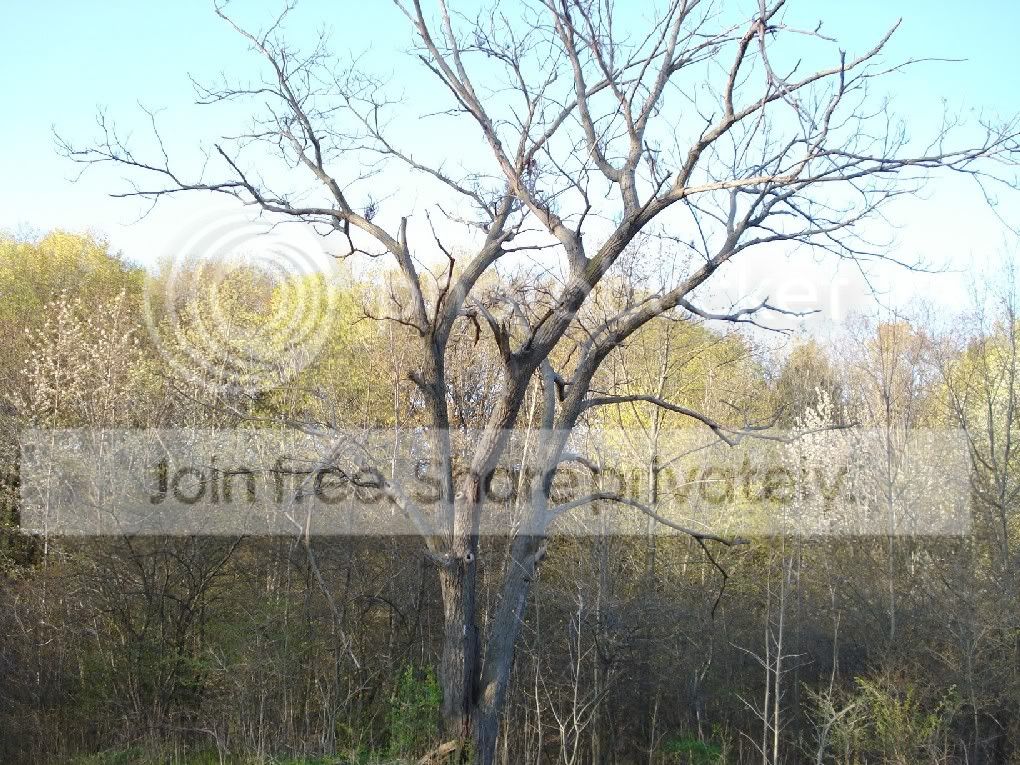 Outdoors Picture of the Day | Page 11 | BladeForums.com