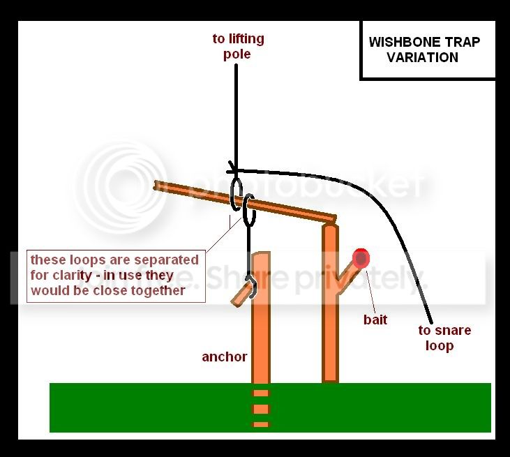 Let's try one last trap thread ! | BladeForums.com