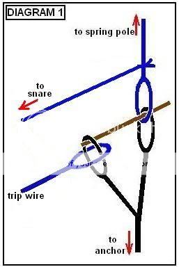 Watch out! This might be a trap! | BladeForums.com