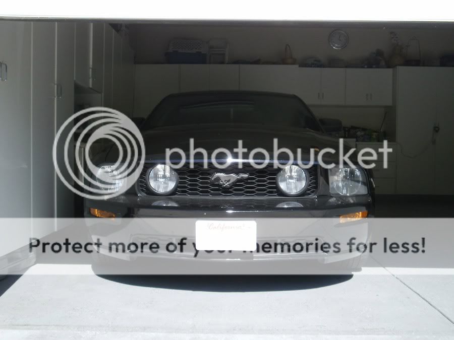 rePaint Trunk Emblem and Pony | S197 Mustang Forum - S197Forum.com