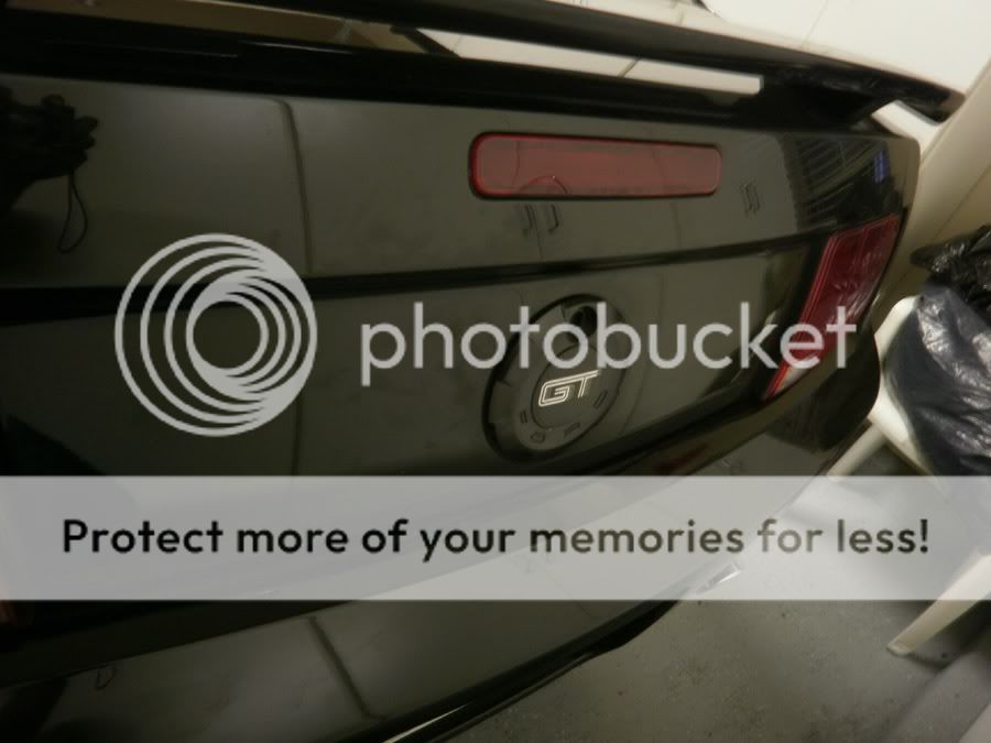 rePaint Trunk Emblem and Pony | S197 Mustang Forum - S197Forum.com