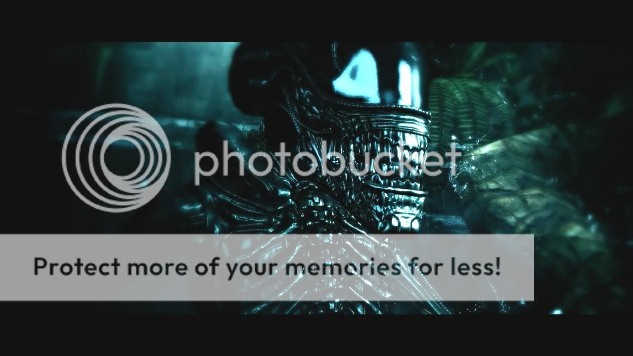 The AVP3 Topic - The Evolution Clan