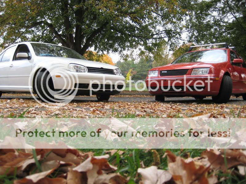 jetta front end? yes or no | Page 2 | VW Vortex - Volkswagen Forum