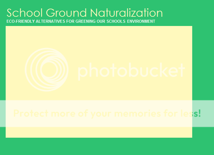 eco-friendly schools