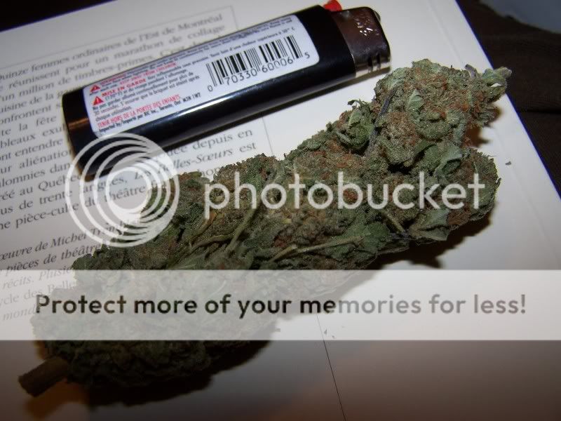 10g nug pickup + Cali Orange | Grasscity Forums - The #1 Marijuana ...