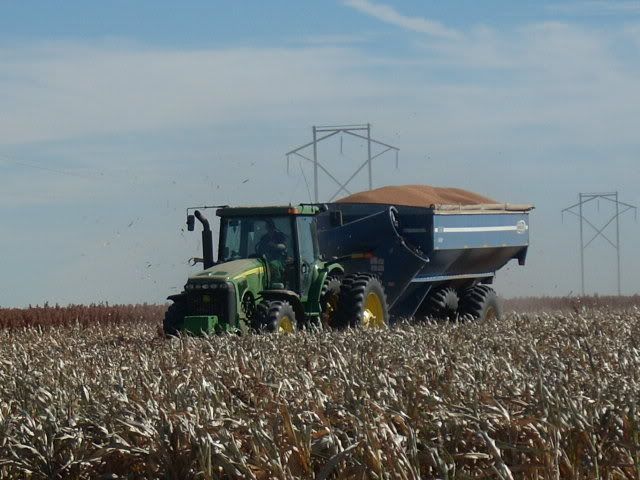 W.Texas milo harvest '07 | The Combine Forum