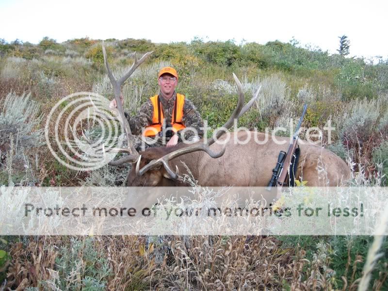 Utah, LE Wasatch Elk | Hunt Talk