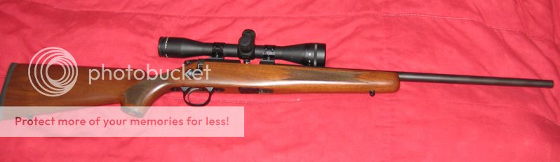 Remington 504 Review & Test | Rimfire Central Firearm Forum