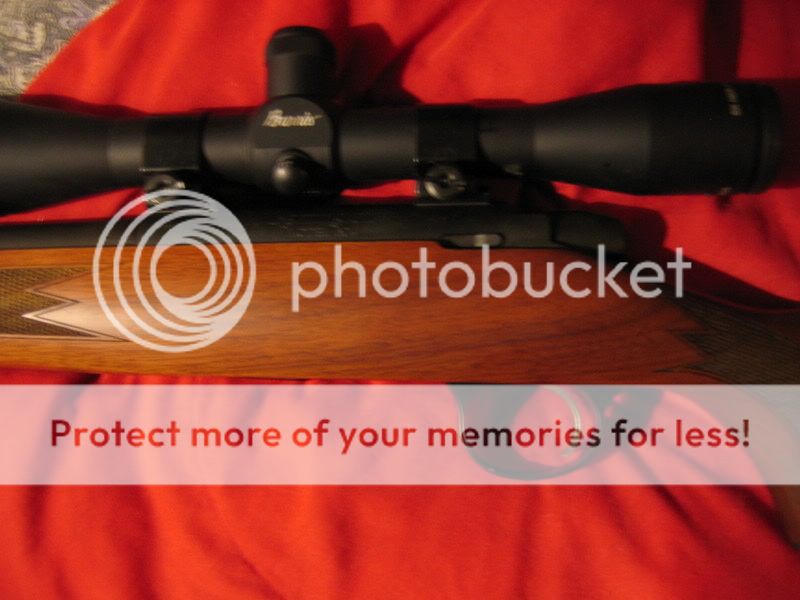 Remington 504 Review & Test | Rimfire Central Firearm Forum