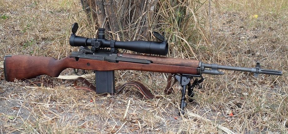 Stained the Hand Guard | M14 Forum